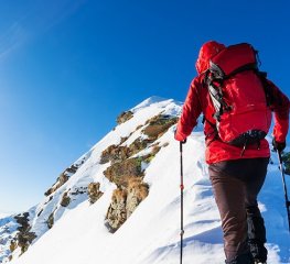 Binat Internet - בניית אתרים | Digisite